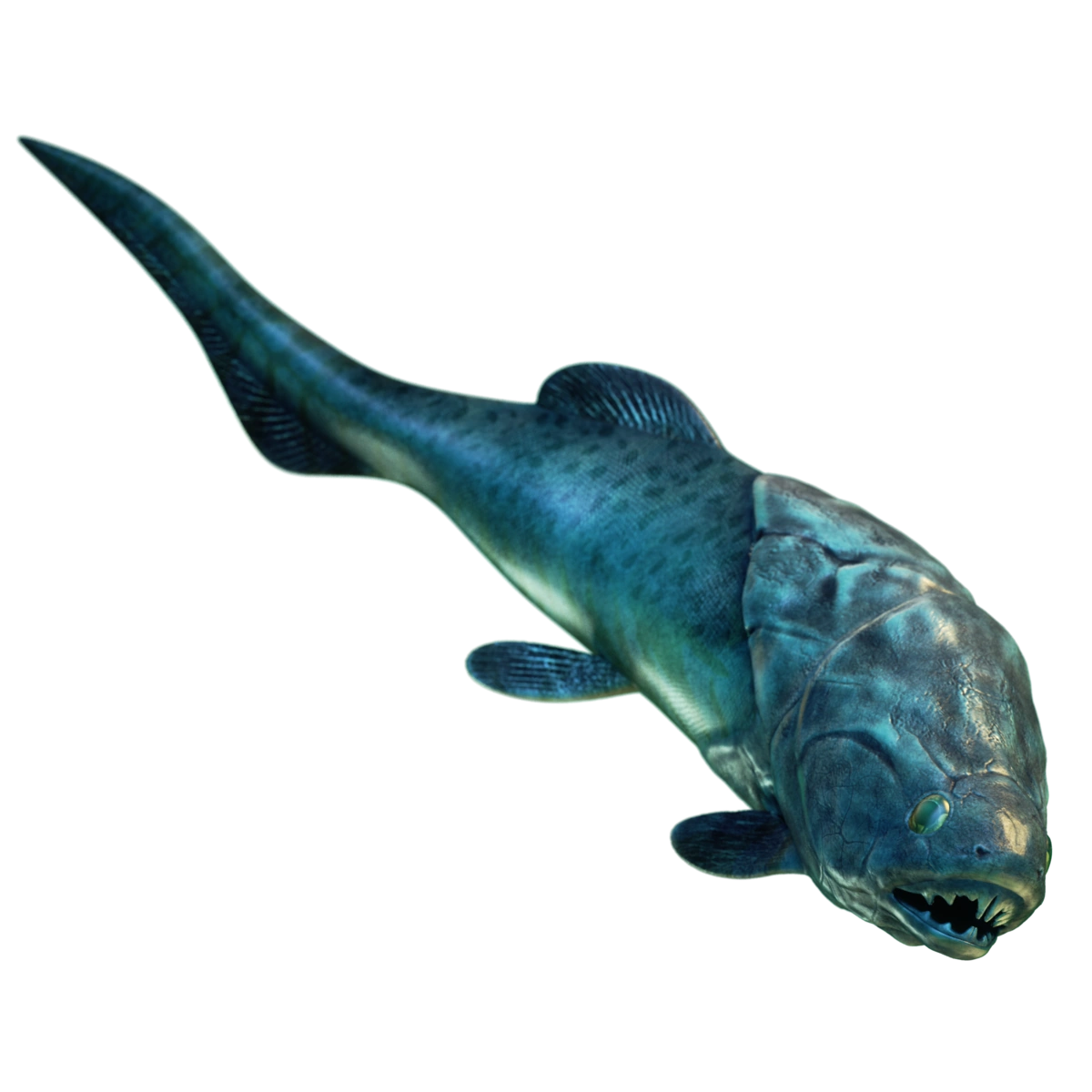 Coccosteus | Animal Database | Fandom