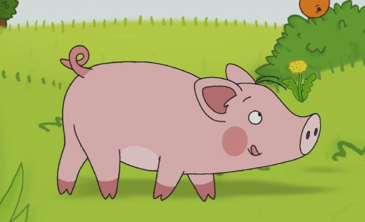 Category:Sus | Animal Database | Fandom