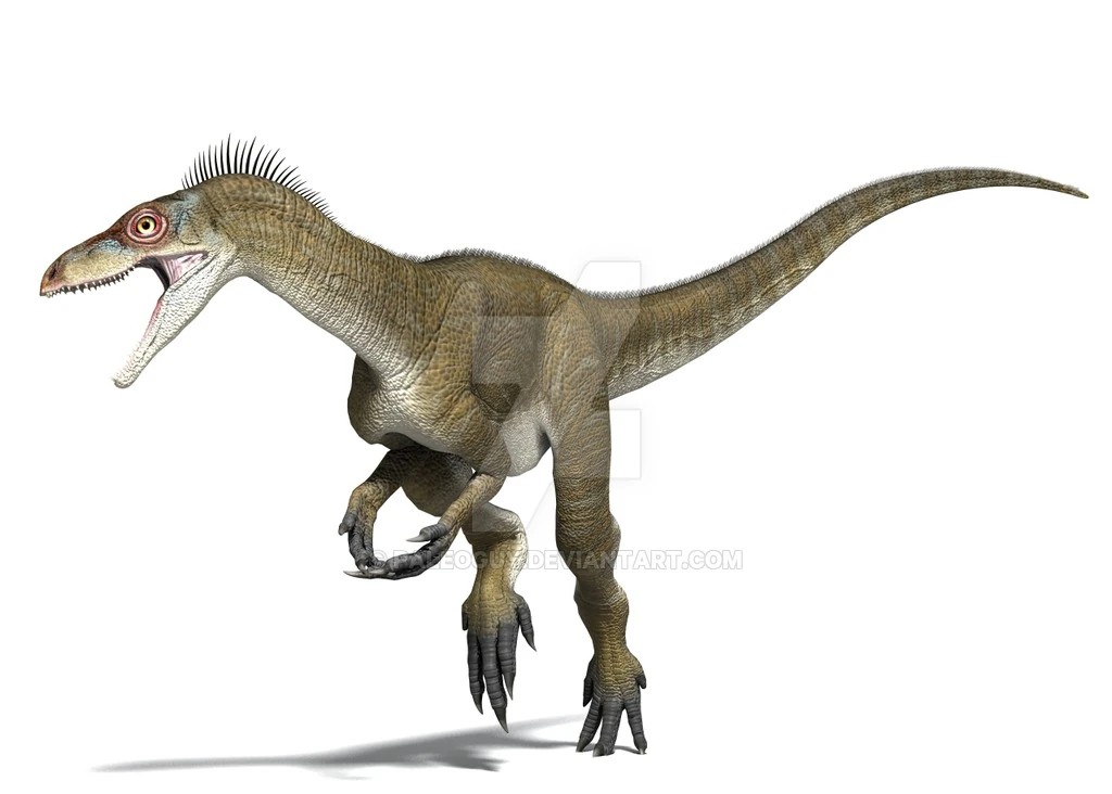 Eoraptor Size