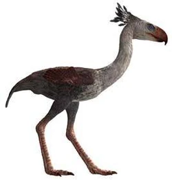 Phorusrhacos | Animal Database | Fandom