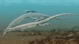 Pleurosaurus | Animal Database | Fandom