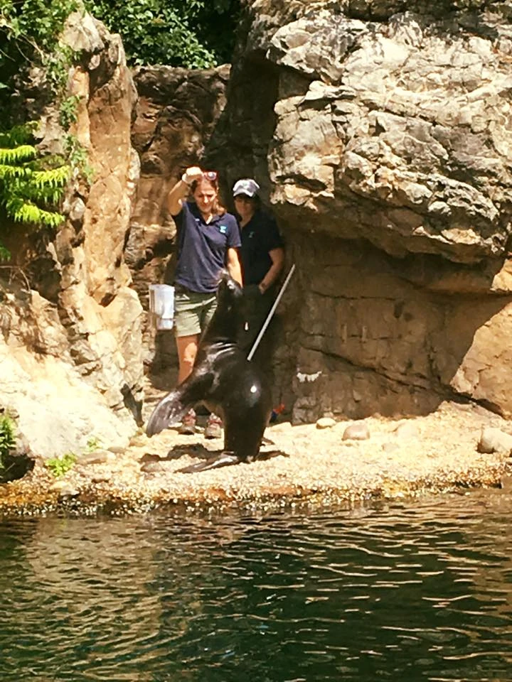 Queens Zoo | Animal Database | Fandom