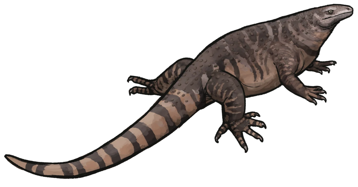 Elliotsmithia | Animal Database | Fandom