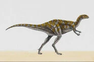 Dryosaurus | Animal Database | Fandom