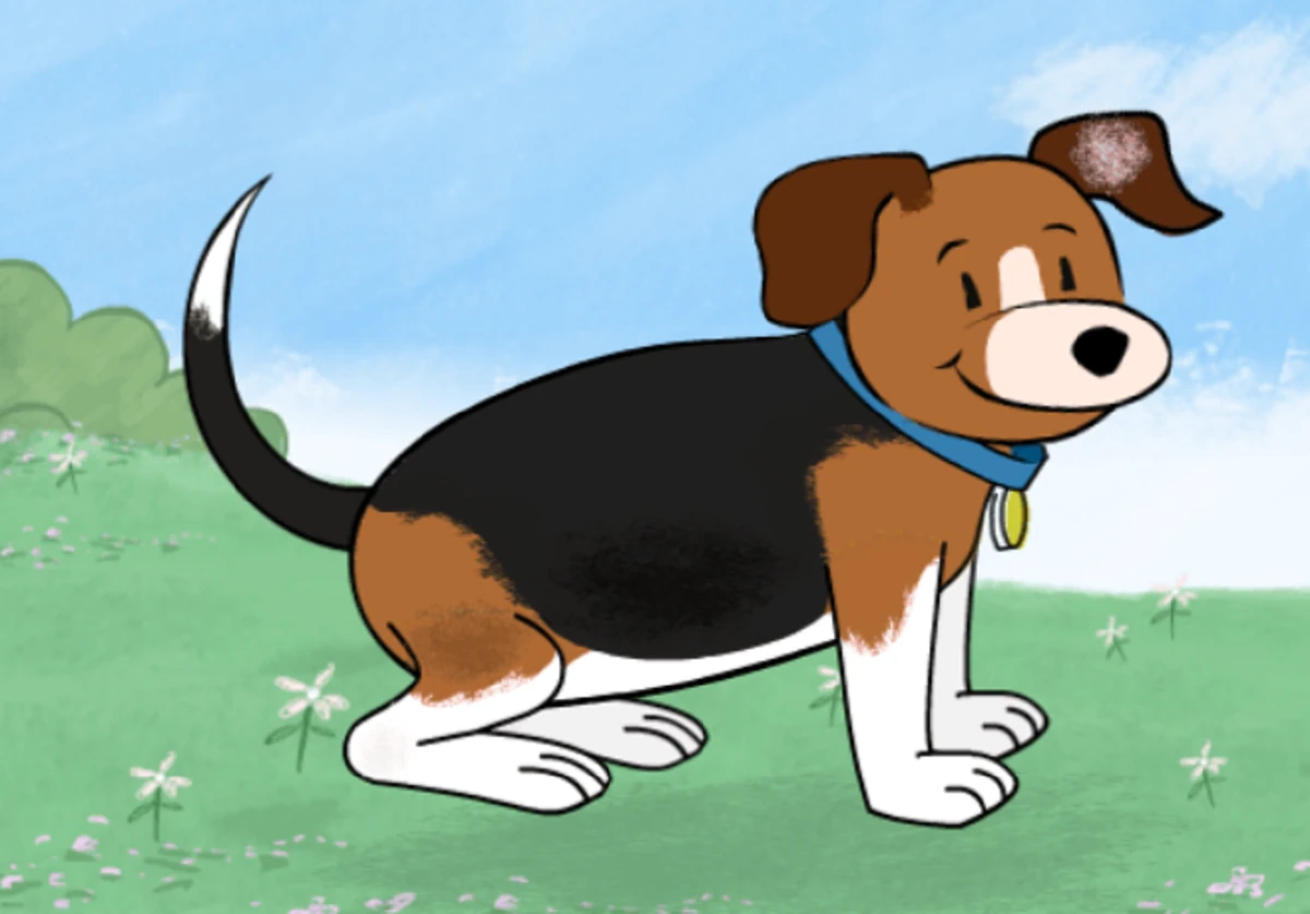 Domestic Dog | Animals Wiki | Fandom