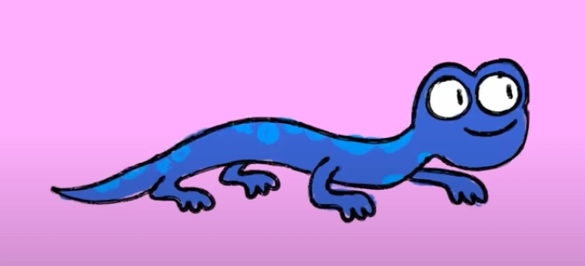 Newt | Animals Wiki | Fandom