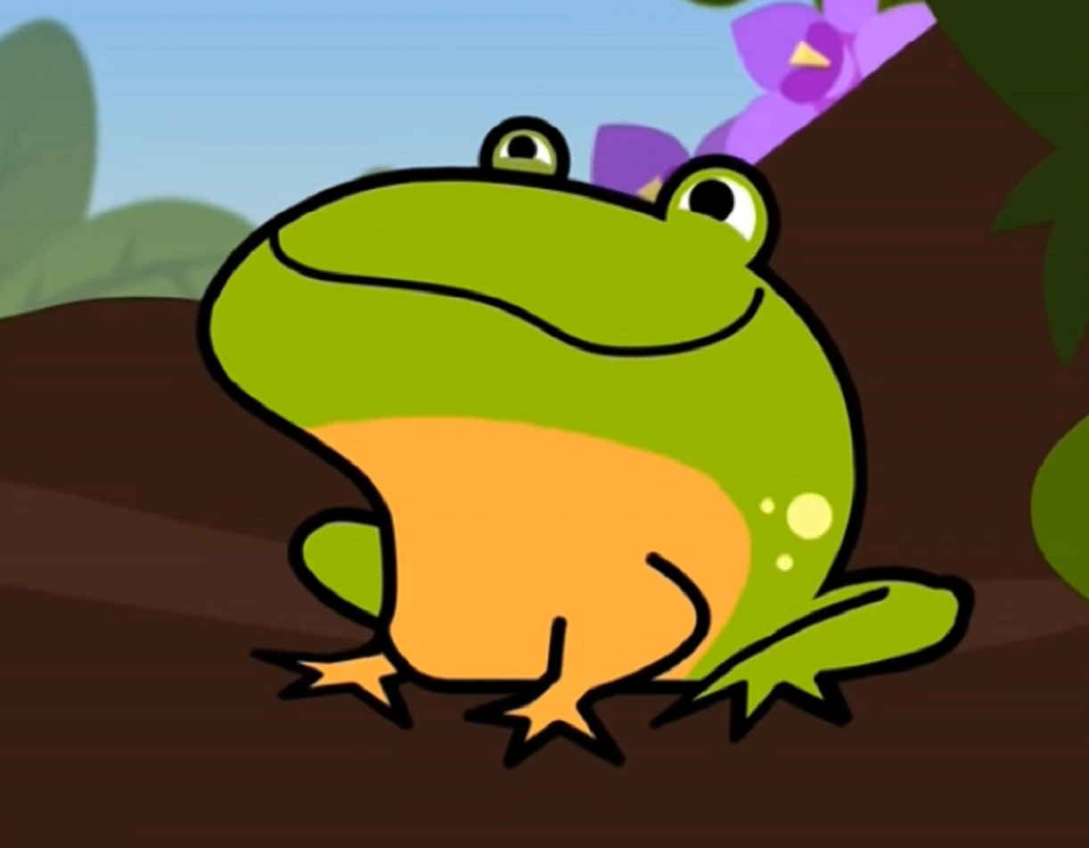 Xenopus | Animals Wiki | Fandom