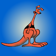 Red Kangaroo | Animals Wiki | Fandom