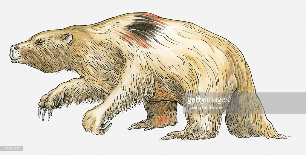 Giant Ground Sloth | Animals-cool Wiki | Fandom