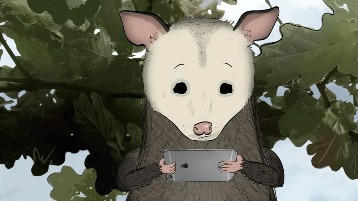 Matthew | Animals. Wiki | Fandom