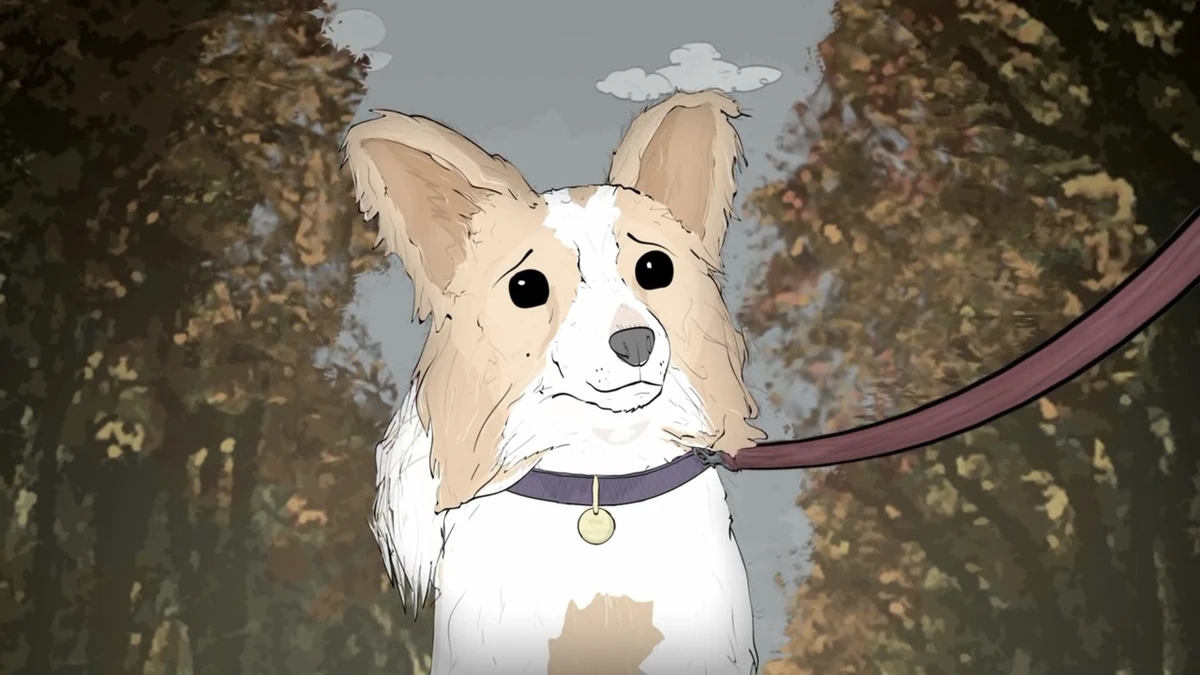 Phil (Dog) | Animals. Wiki | Fandom