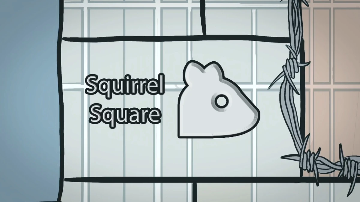 Squirrel Square | Animals. Wiki | Fandom