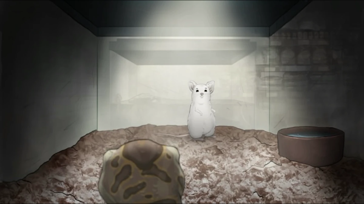 Mouse | Animals. Wiki | Fandom