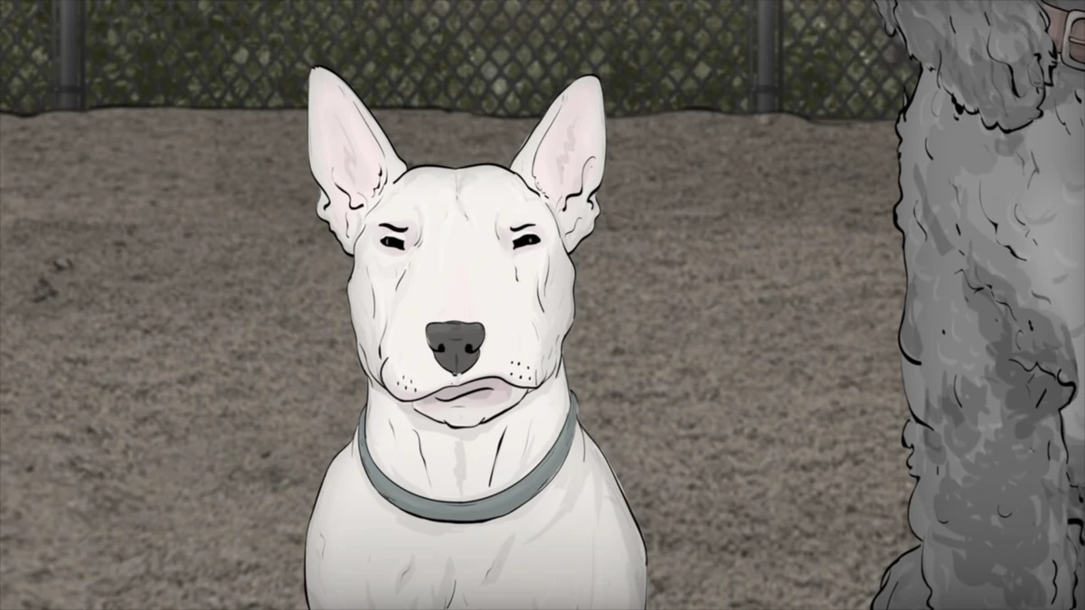 Ronnie | Animals. Wiki | Fandom