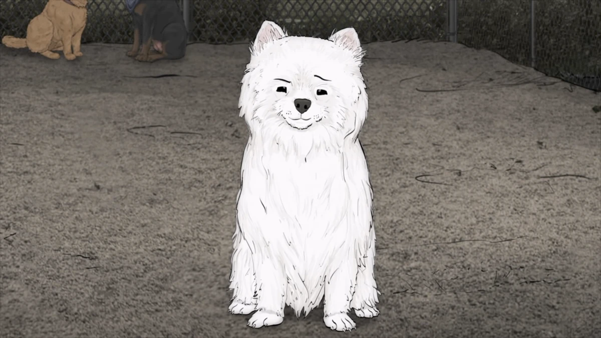 Charles | Animals. Wiki | Fandom