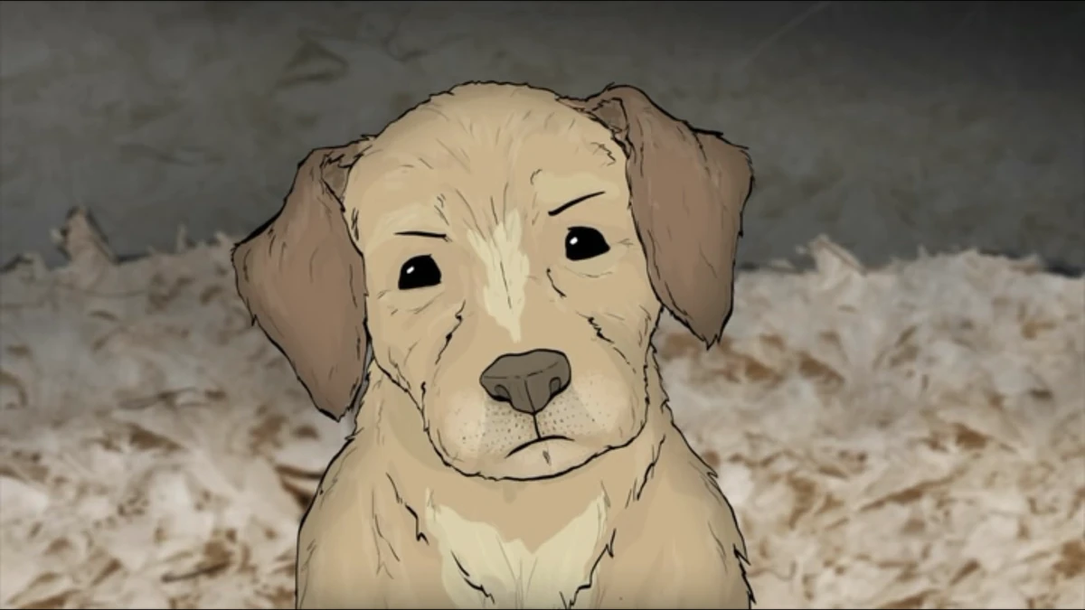 Tommy | Animals. Wiki | Fandom