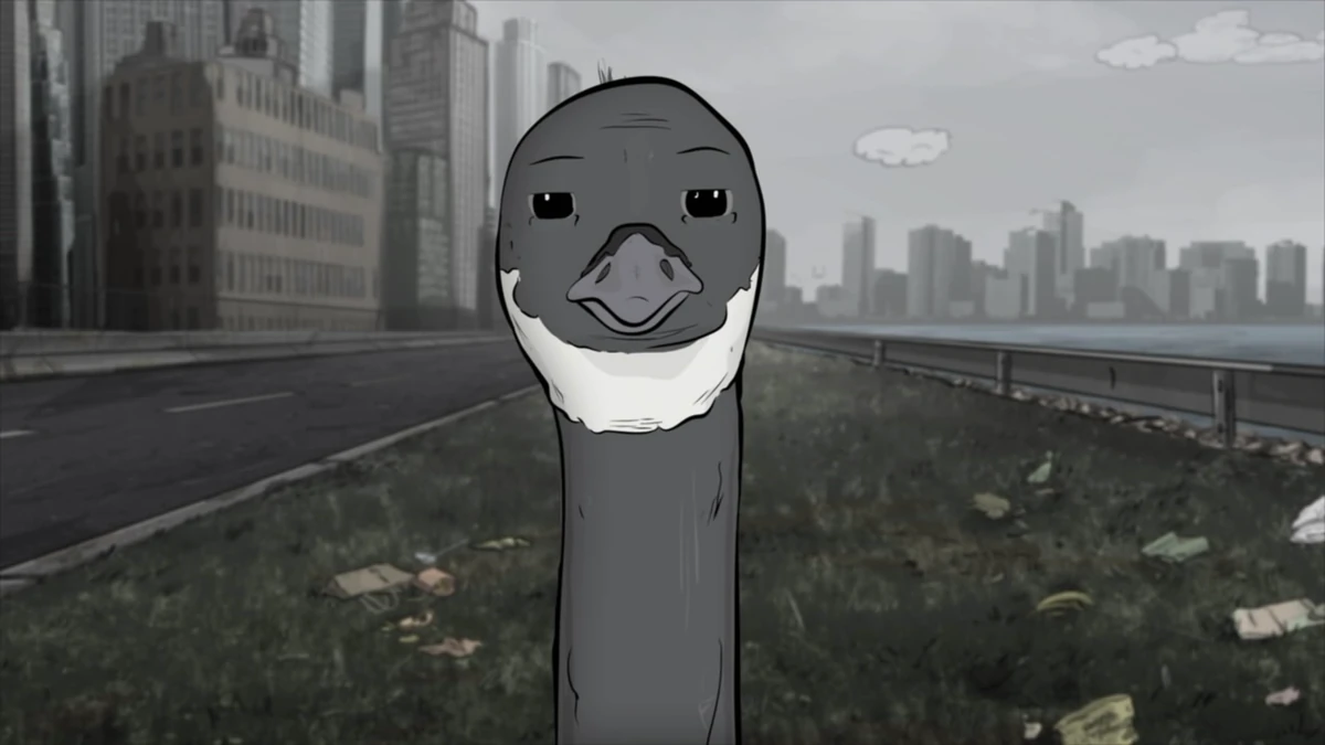 Shane | Animals. Wiki | Fandom