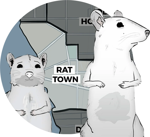 Rat Town | Animals. Wiki | Fandom