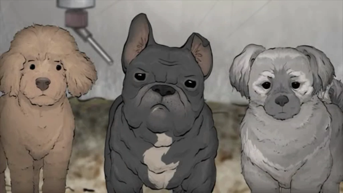 Jimmy | Animals. Wiki | Fandom