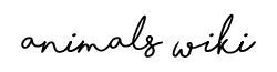 Animals. Wiki | Fandom