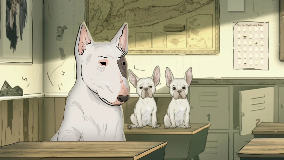 Sammy | Animals. Wiki | Fandom