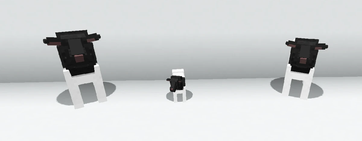 Sheep | Animania Wiki | Fandom