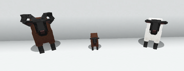 Sheep | Animania Wiki | Fandom