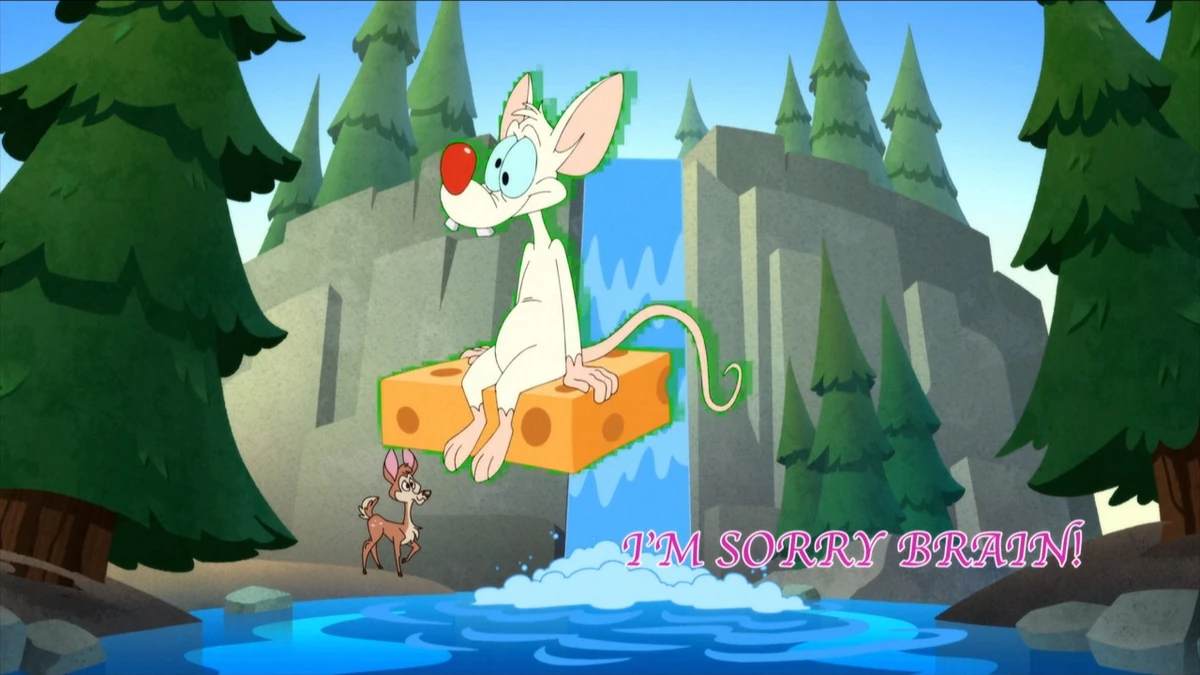 I'm Sorry, Brain | Animaniacs Wiki | Fandom