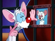 Romy | Animaniacs Wiki | Fandom