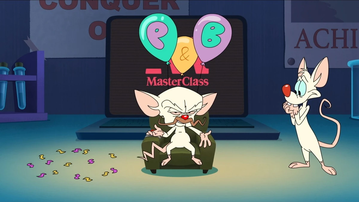 MasterClass 103: Disguises and the Art of Subterfuge | Animaniacs Wiki ...