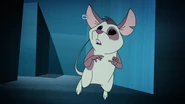 Julia | Animaniacs Wiki | Fandom