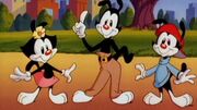 Yakko Warner | Animaniacs Wiki | Fandom