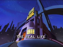 Episode 40 (PATB): The Real Life | Animaniacs Wiki | Fandom