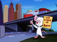 Romy | Animaniacs Wiki | Fandom