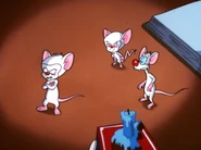 Romy | Animaniacs Wiki | Fandom