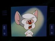 Episode 40: Casablanca Opening/Fair Game/The Slapper/Puppet Rulers ...