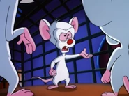 Romy | Animaniacs Wiki | Fandom