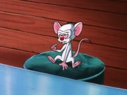 Romy | Animaniacs Wiki | Fandom