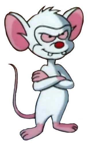 Romy | Animaniacs Wiki | Fandom