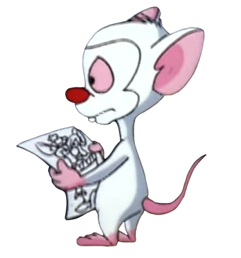 Romy | Animaniacs Wiki | Fandom