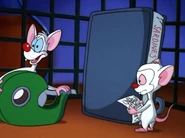 Romy | Animaniacs Wiki | Fandom