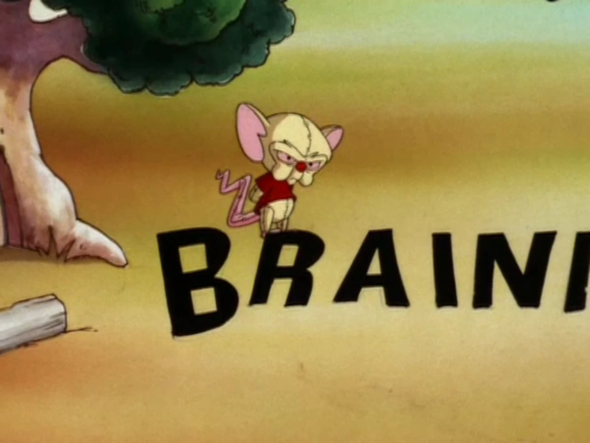Brainie the Poo (song) | Animaniacs Wiki | Fandom