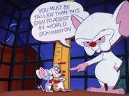 Romy | Animaniacs Wiki | Fandom