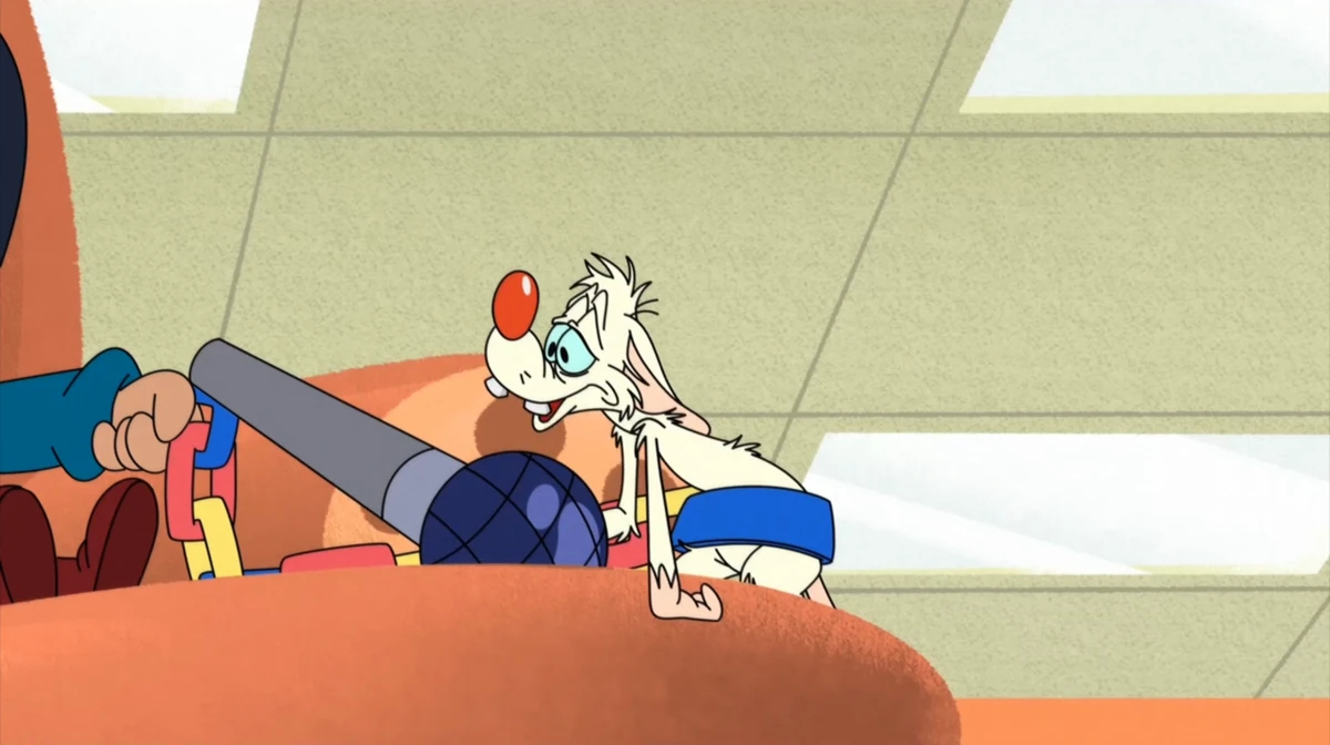 Pinky Feels Like Falling Down | Animaniacs Wiki | Fandom
