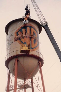 Warner Brothers Water Tower Animaniacs