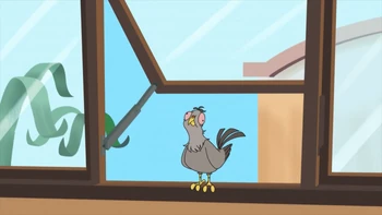 Pigeon | Animaniacs Wiki | Fandom