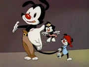 Fourth wall | Animaniacs Wiki | Fandom