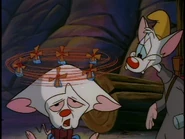 Episode 38: Spell-Bound | Animaniacs Wiki | Fandom