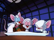 Romy | Animaniacs Wiki | Fandom