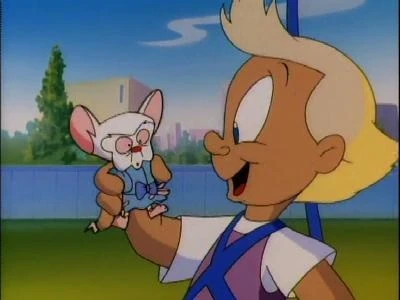 User blog:Hilary James Lyall/About Animaniacs Stew | Animaniacs Wiki ...